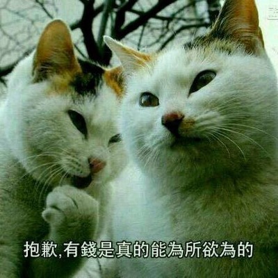 清爽白富美少年的dad (@abc3d_@pawoo.net) - Pawoo - 創作活動や自由なコミュニケーションを楽しめる場