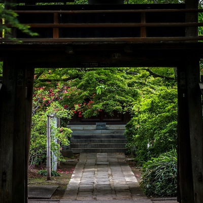 にゅーあにまる (@new_animal@pawoo.net) - Pawoo - 創作活動や自由なコミュニケーションを楽しめる場