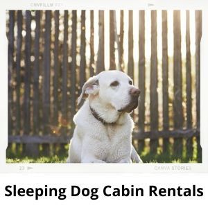 Sleeping Dog Cabin Rentals (@Sleepingdogcabinrentals@pawoo.net) - Pawoo ...
