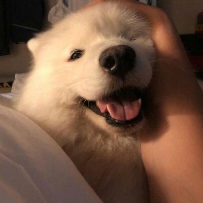 ghegs (@ghegs@pawoo.net) - Pawoo - 創作活動や自由なコミュニケーションを楽しめる場