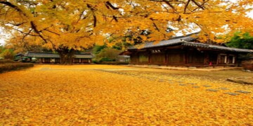 Sáng tác việt (@sangtacviet@pawoo.net) - Pawoo - 創作活動や自由なコミュニケーションを楽しめる場