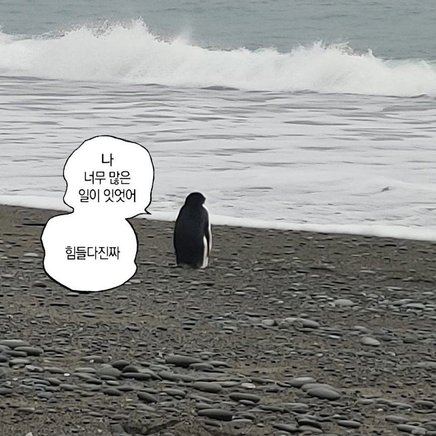 하몽 (@hamong@pawoo.net) - Pawoo - 創作活動や自由なコミュニケーションを楽しめる場