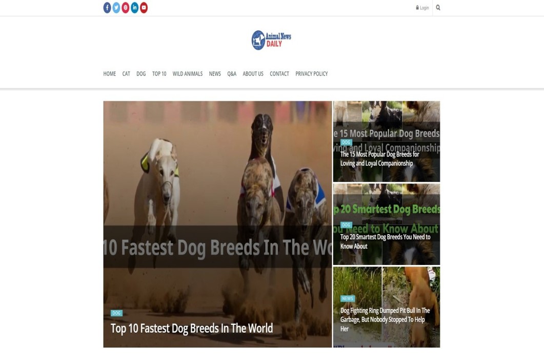 Animal News 24 (@animalnews24@pawoo.net) - Pawoo - 創作活動や自由なコミュニケーションを楽しめる場