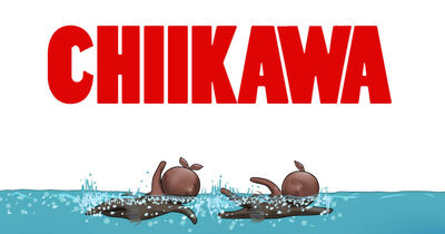 みたらしディンゴ (@shimon_mosado@pawoo.net) - Pawoo - 創作活動や自由なコミュニケーションを楽しめる場