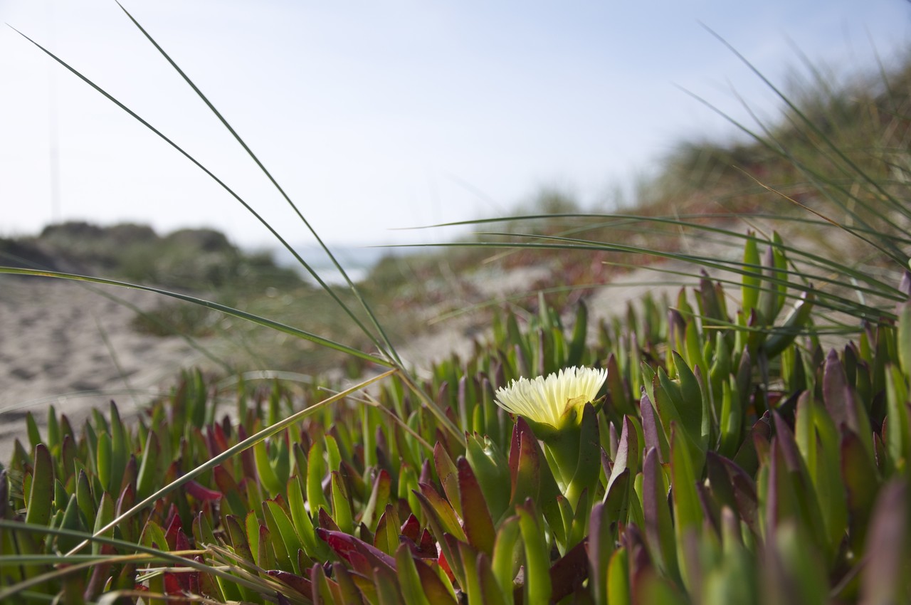 owletlabs: "Test https://pawoo.net/media/43s_S0TwsM371ld22F4 …" - Pawoo ...