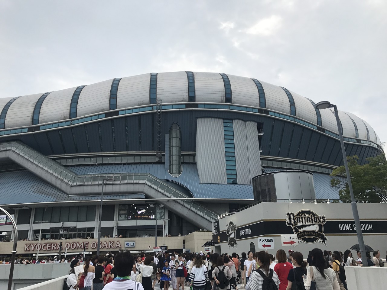 无理由溺爱 (@ryosuki@pawoo.net) - Pawoo - 創作活動や自由なコミュニケーションを楽しめる場