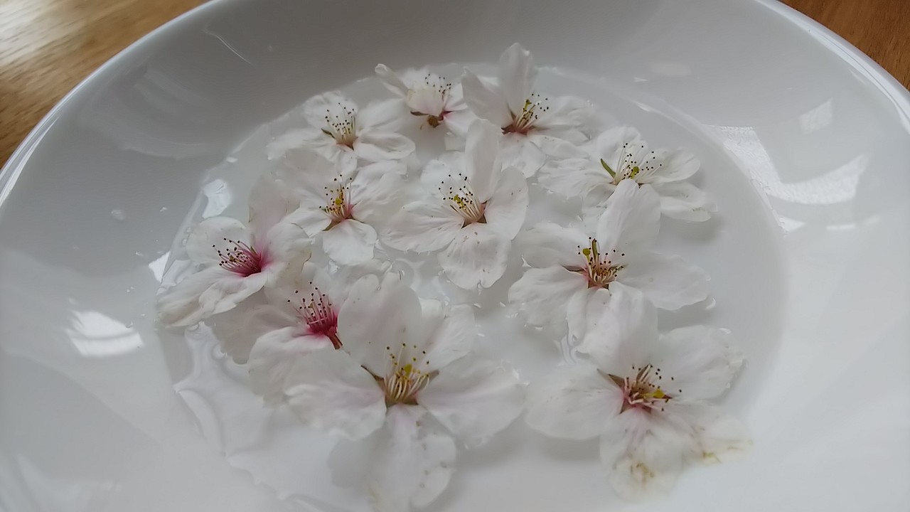 リリー (@sora_lily@pawoo.net) - Pawoo - 創作活動や自由なコミュニケーションを楽しめる場