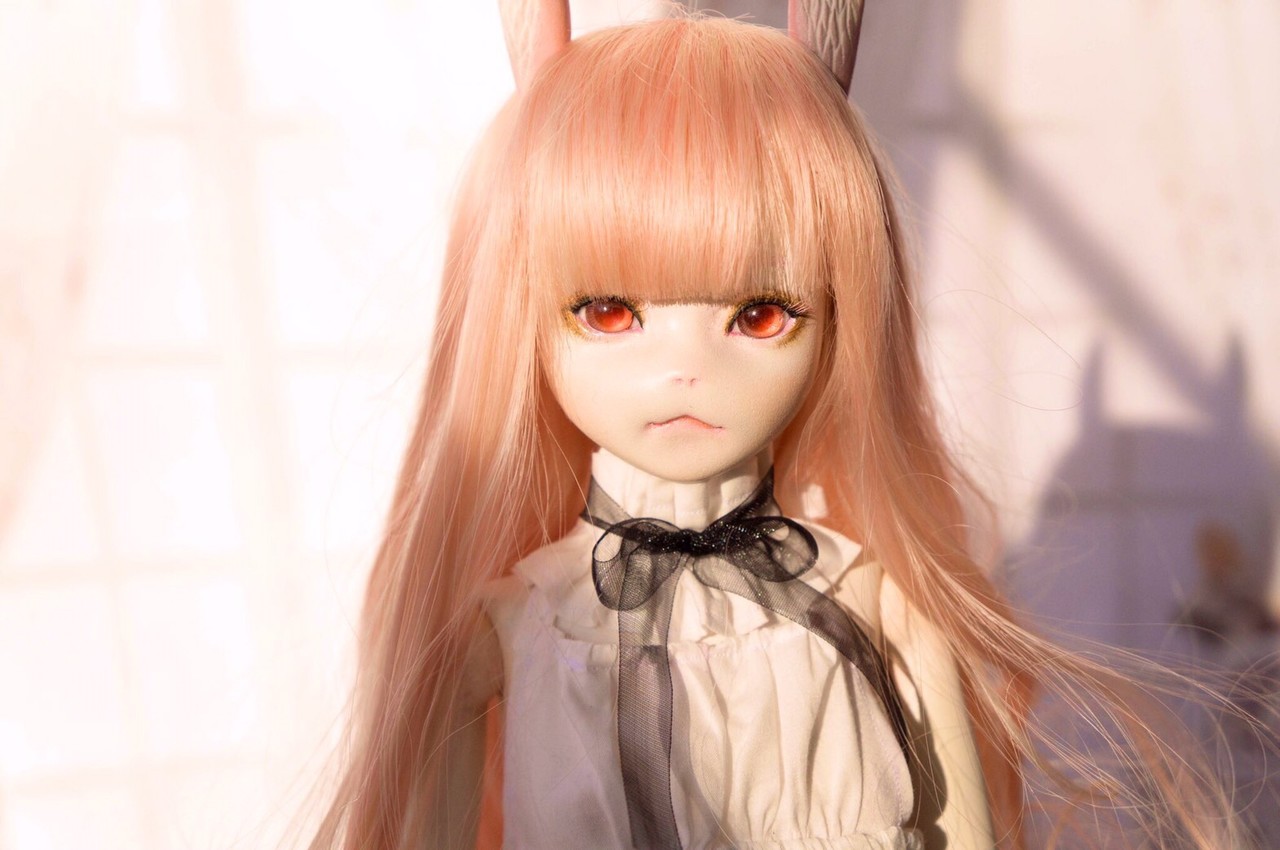 芽々木: "半獣少女。 #球体関節人形 #doll #ドール https://pawoo.net/media/…" - Pawoo - 創作活動や自由なコミュニケーションを楽しめる場