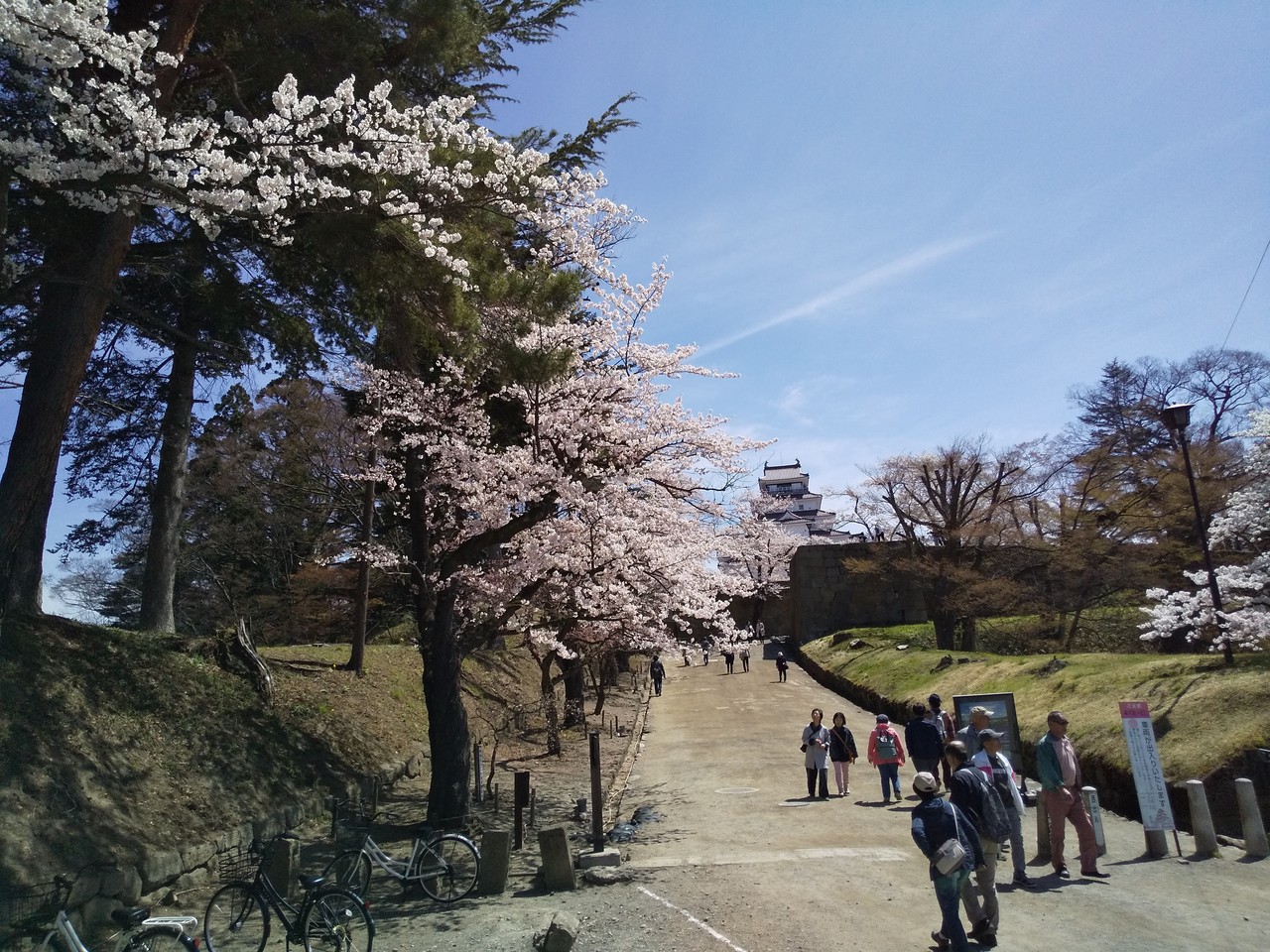 東北の闇の銃士: "この前の会津若松綺麗だった #桜" - Pawoo - 創作活動や自由なコミュニケーションを楽しめる場