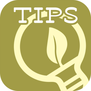 hanw (@hanw@pawoo.net) - Pawoo - 創作活動や自由なコミュニケーションを楽しめる場