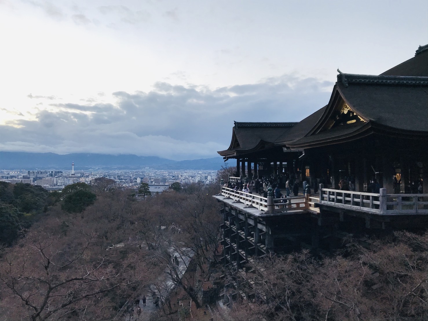 はしくれ (@hashikure44@pawoo.net) - Pawoo