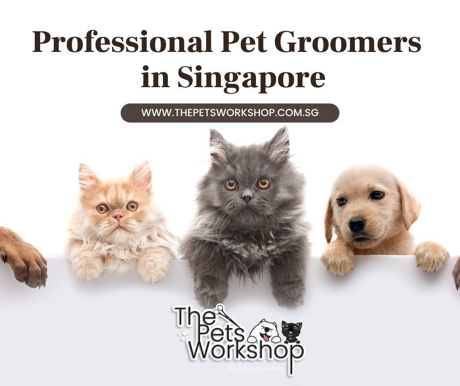 The Pets Workshop (@thepetsworkshop@pawoo.net) - Pawoo