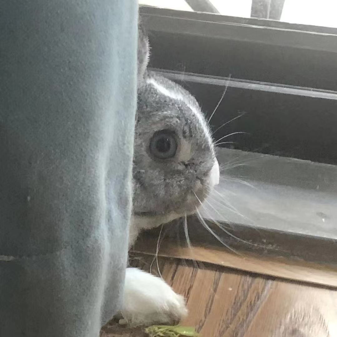 Wannn (@814918817@pawoo.net) - Pawoo - 創作活動や自由なコミュニケーションを楽しめる場