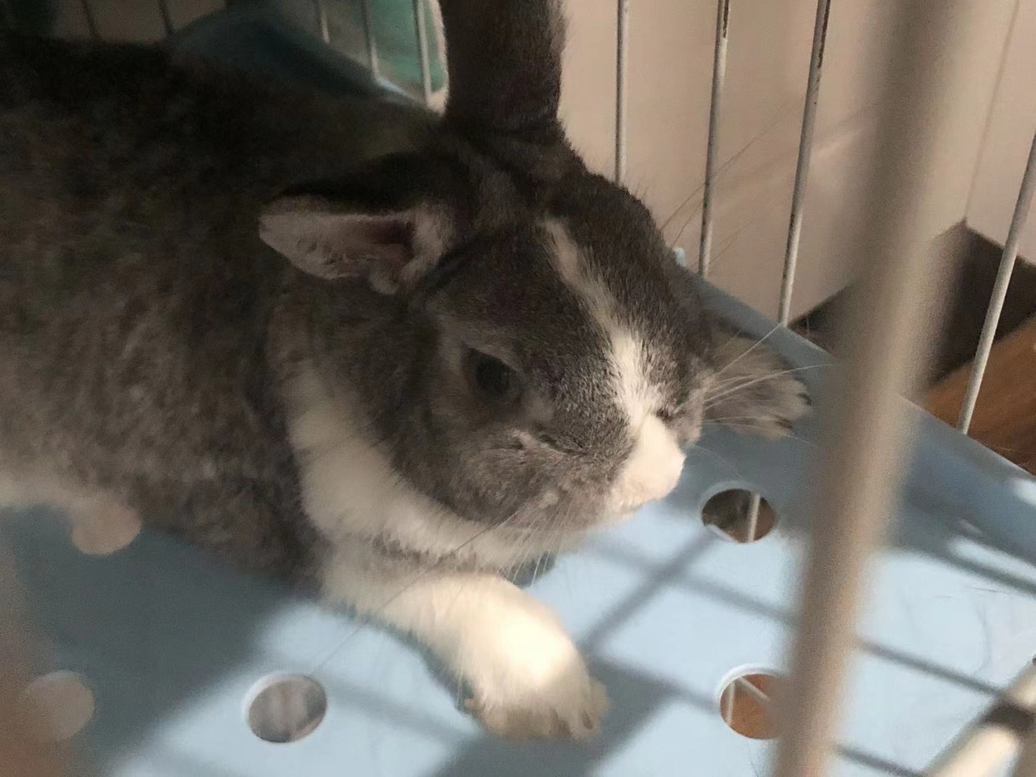 Wannn (@814918817@pawoo.net) - Pawoo - 創作活動や自由なコミュニケーションを楽しめる場