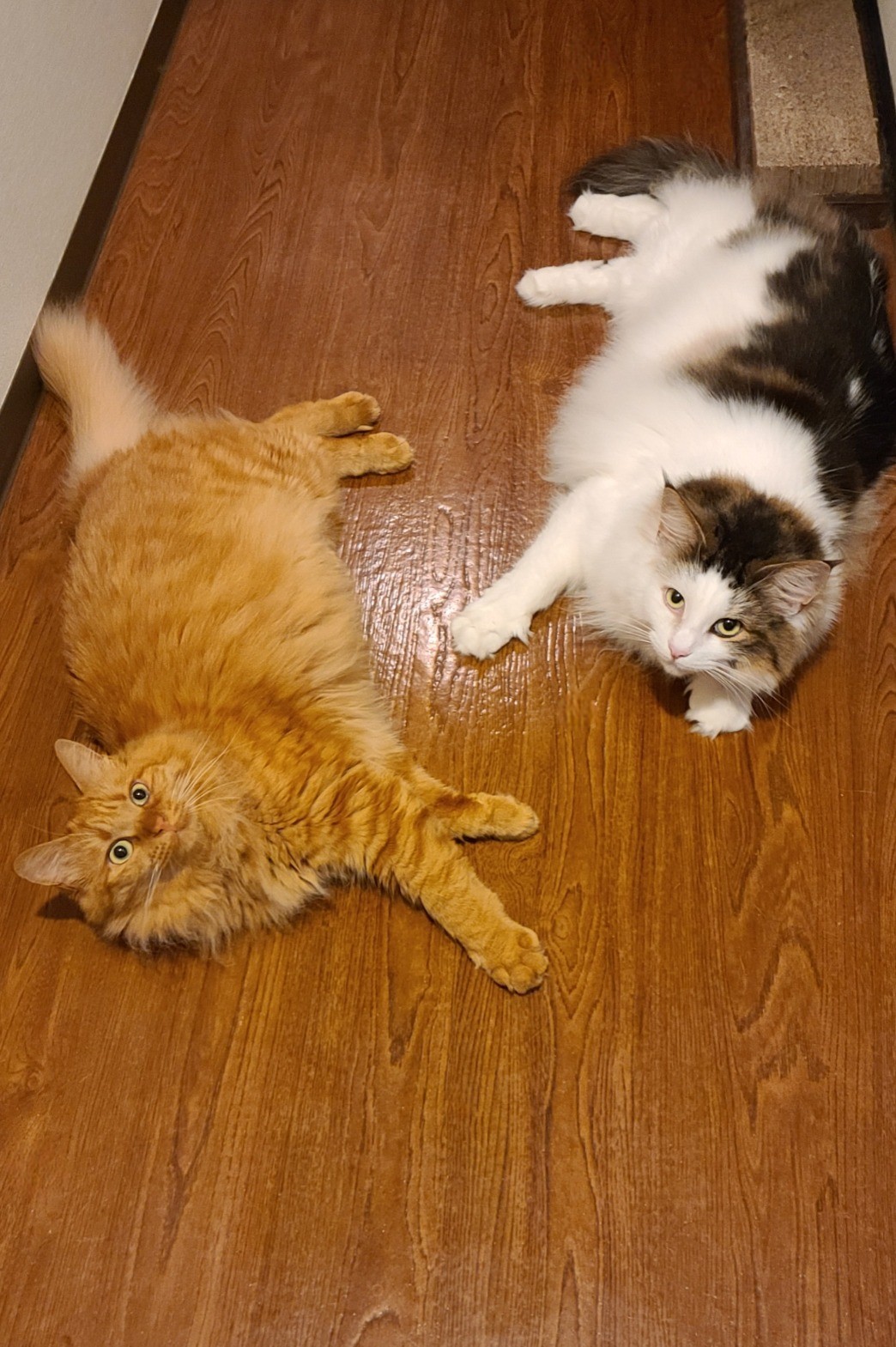 かみ田🔞🚸: "NK" - Pawoo - 創作活動や自由なコミュニケーションを楽しめる場