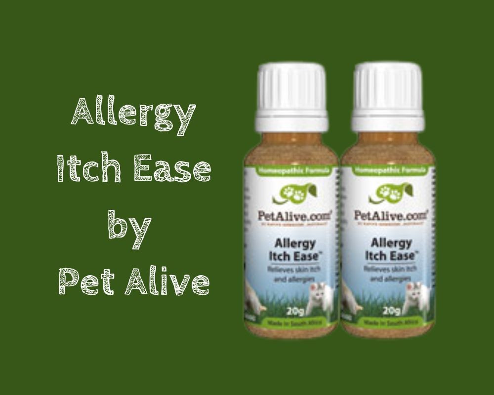 Healthy Food For Pets (@healthyfoodsforpets@pawoo.net) - Pawoo