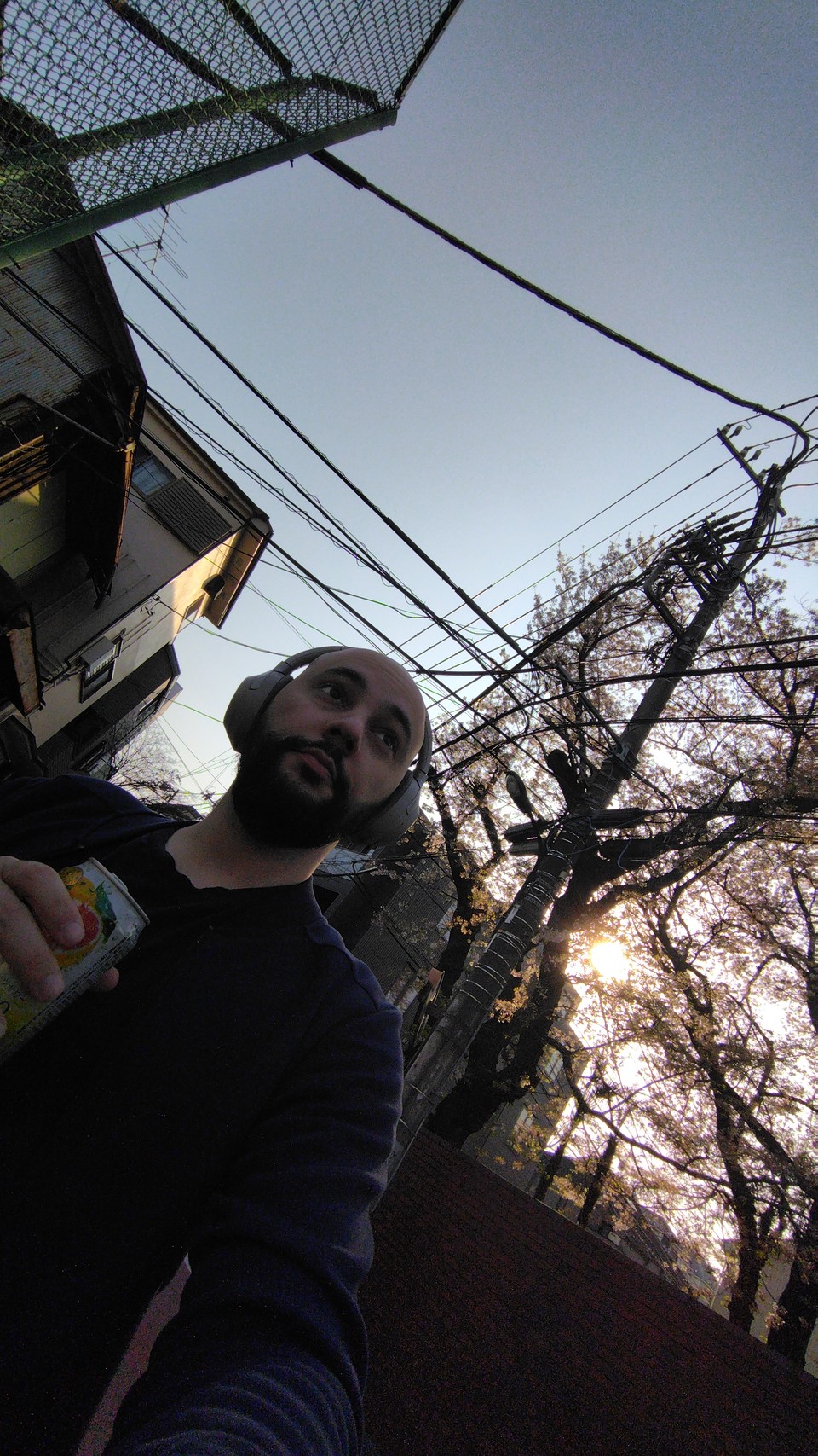 Alex: "Petite promenade sous les cerisiers printaniers#N##N#…" - Pawoo