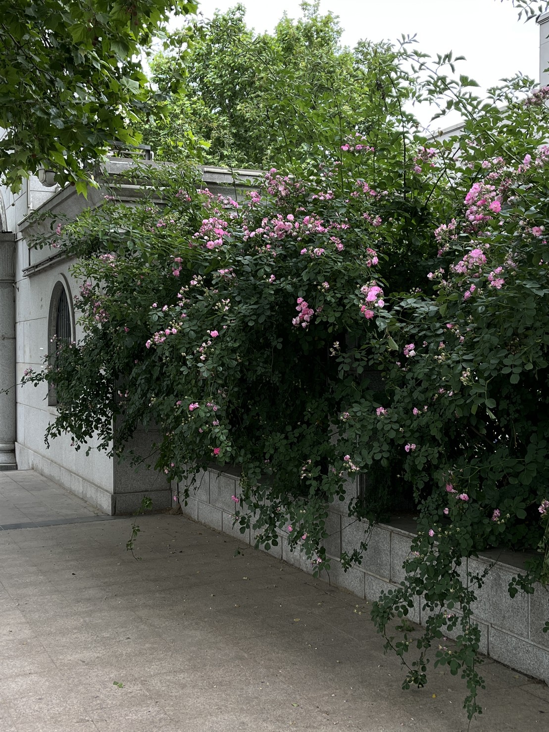 Nono (@CrypToNym_H@pawoo.net) - Pawoo - 創作活動や自由なコミュニケーションを楽しめる場