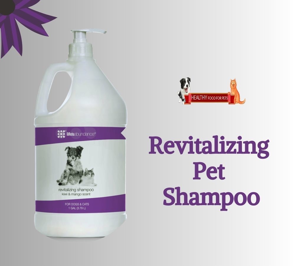 Healthy Food For Pets (@healthyfoodsforpets@pawoo.net) - Pawoo