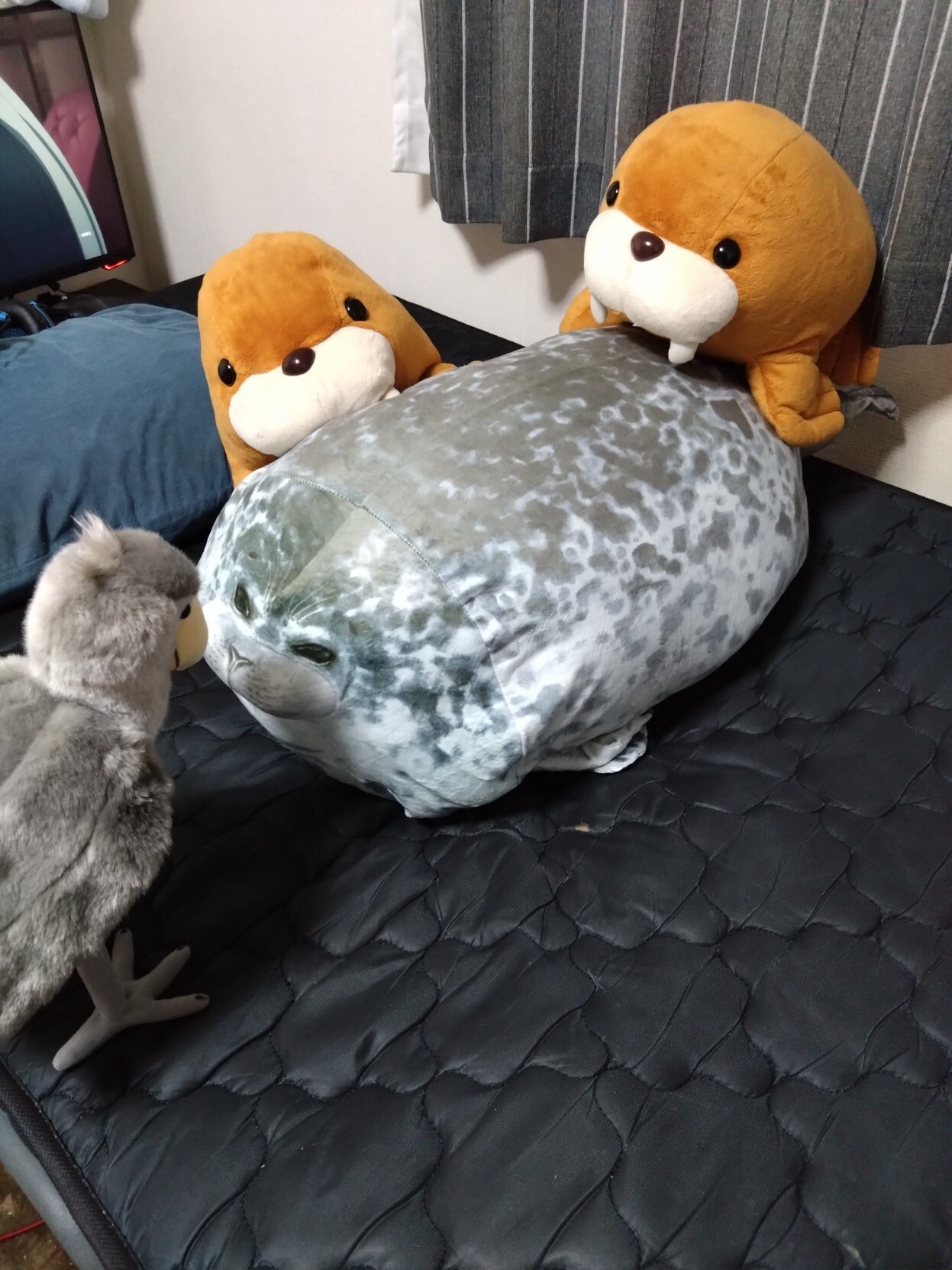 🌙咲散華☀️🎨 (@sazanka_@pawoo.net) - Pawoo - 創作活動や自由なコミュニケーションを楽しめる場