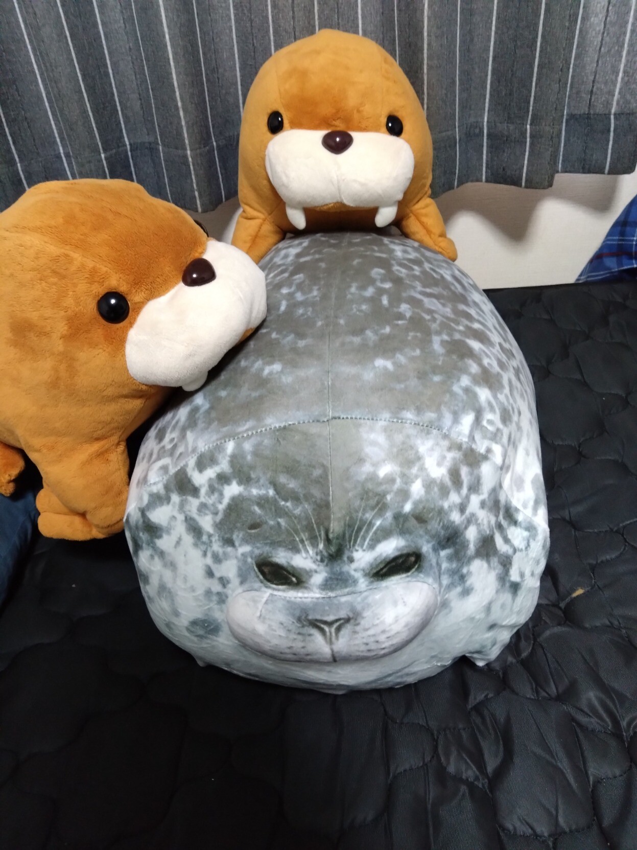 🌙咲散華☀️🎨 (@sazanka_@pawoo.net) - Pawoo - 創作活動や自由なコミュニケーションを楽しめる場