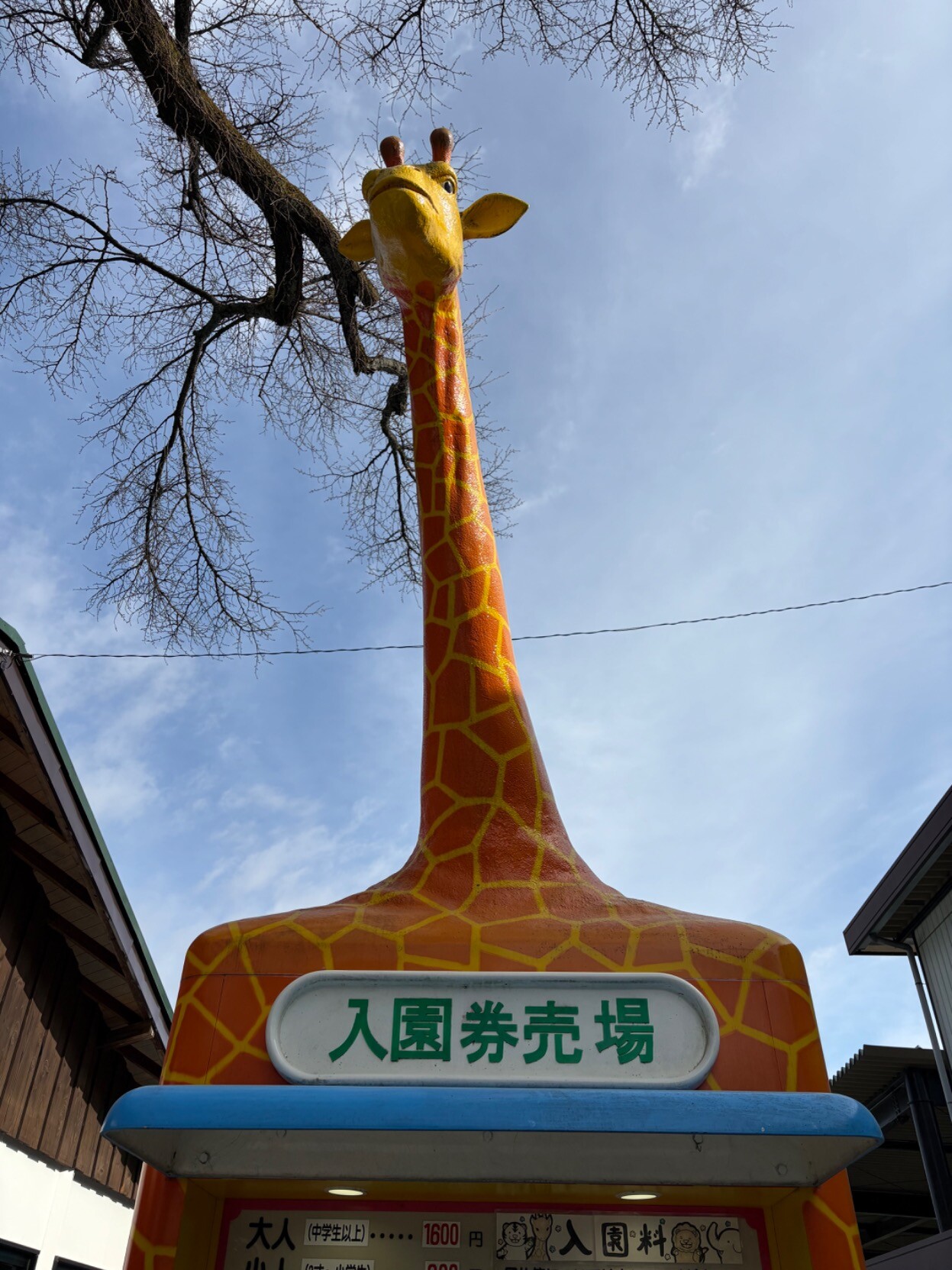 窓の無い部屋: "👹はトラ、😈はクロヒョウのイメージがなんとなくある。 両方写真に撮るの失敗しました。" - Pawoo - 創作活動や自由な ...